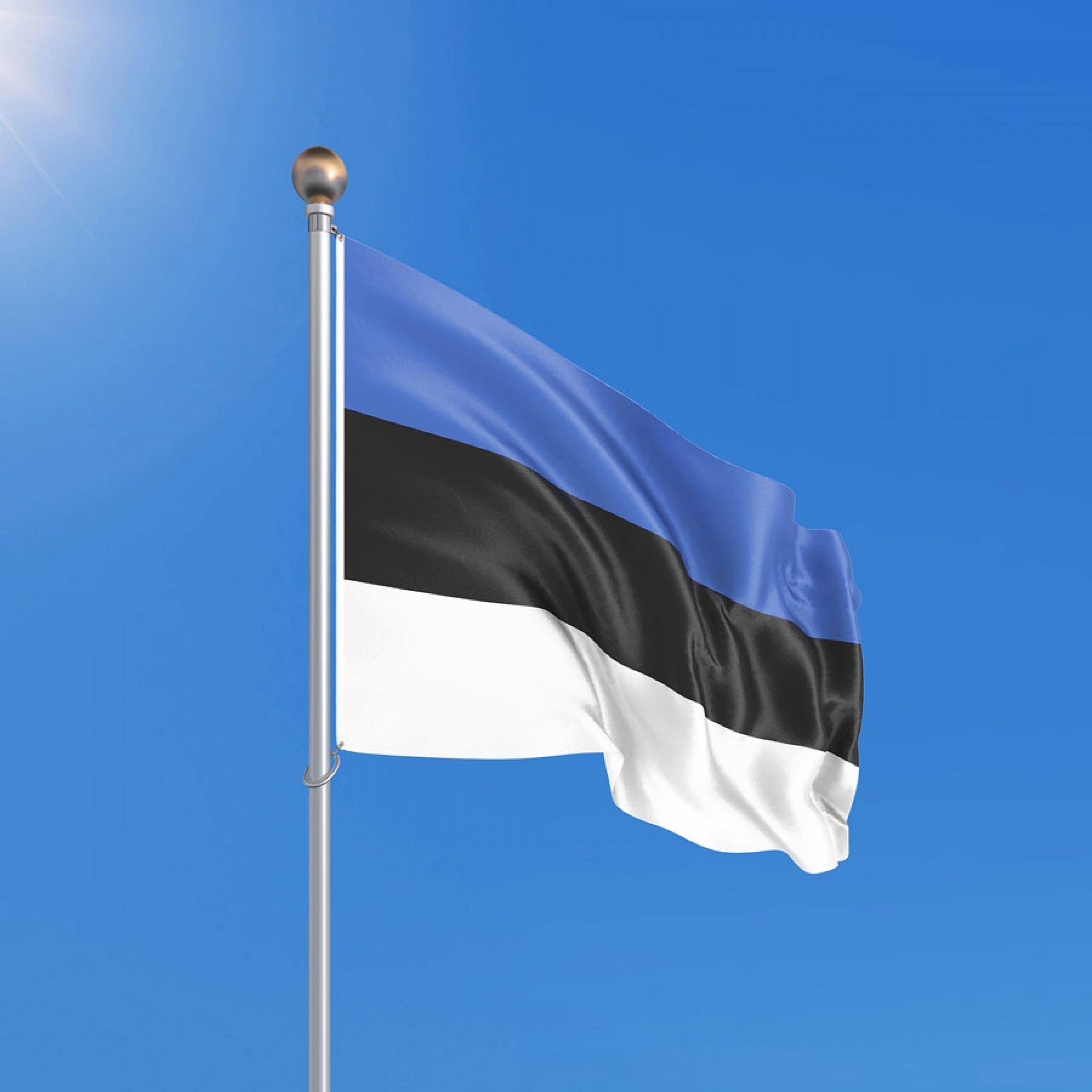 Buy flag of Estonia Republic online shop, price | Citysouvenirs.lt