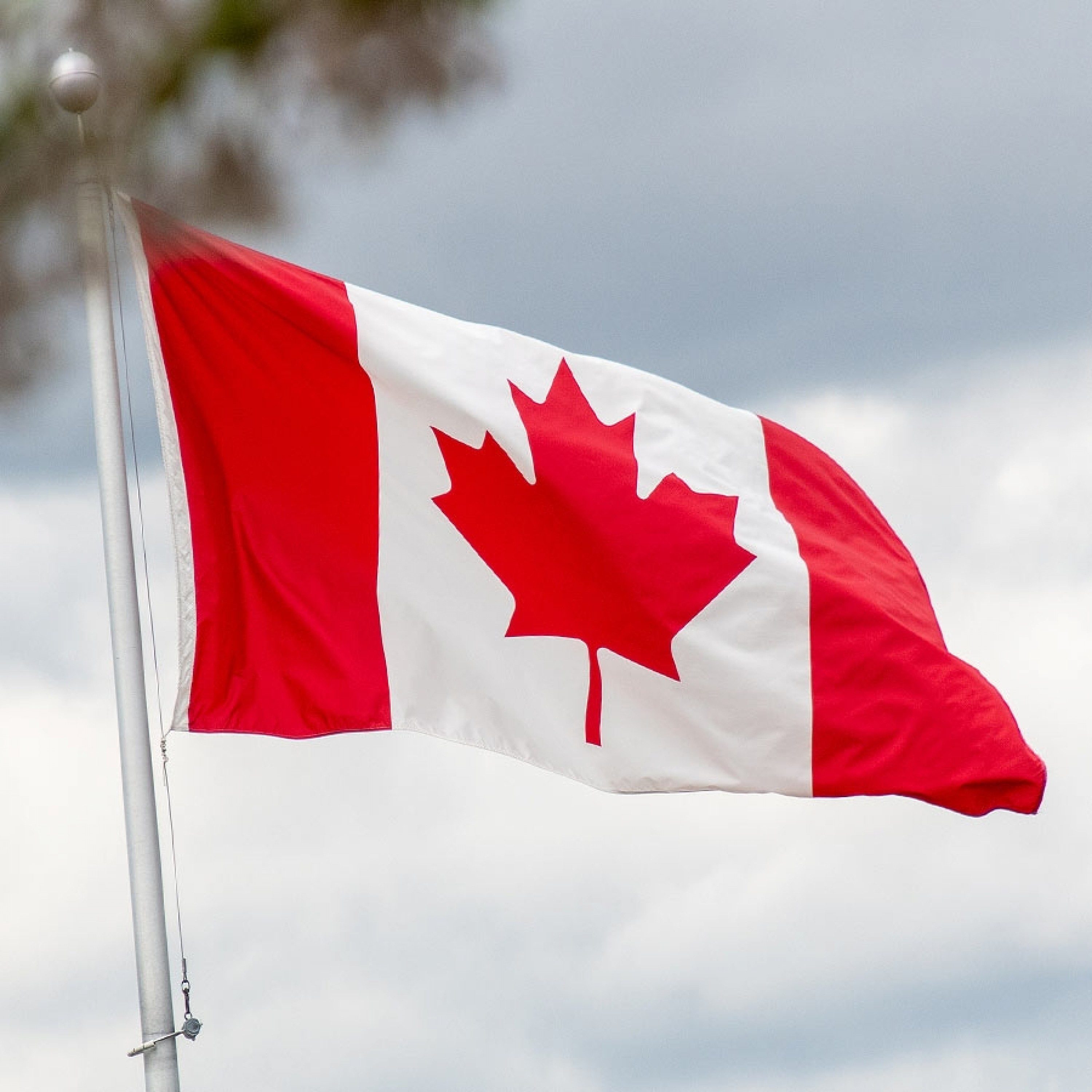 Kanados valstybinė vėliava, kaina | Citysouvenirs.lt